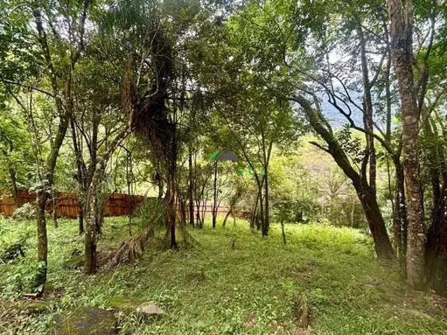 Terreno / Lote para Venda em Garopaba/SC Encantada