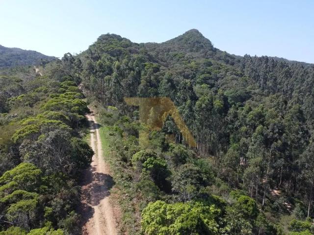 Terreno / Lote para Venda em Garopaba/SC Encantada