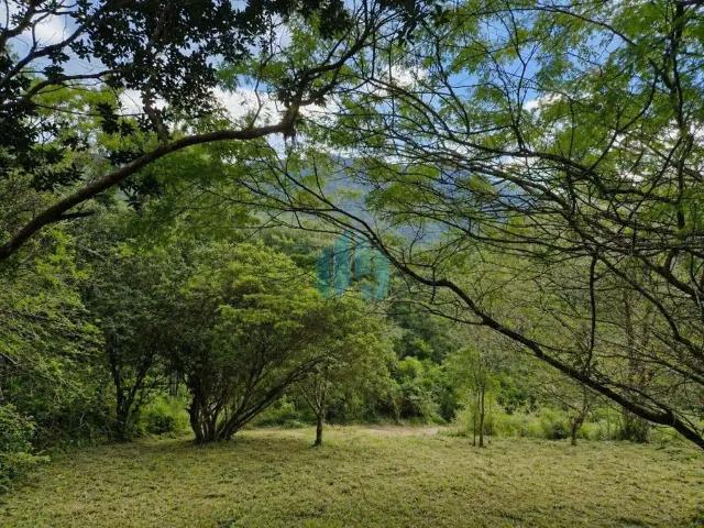 Terreno / Lote para Venda em Garopaba/SC Encantada