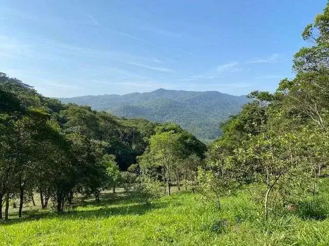 Terreno / Lote para Venda em Garopaba/SC Encantada
