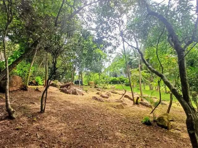 Terreno / Lote para Venda em Garopaba/SC Encantada