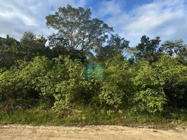 Terreno / Lote para Venda em Garopaba/SC Encantada