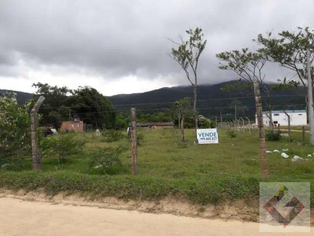 Terreno / Lote para Venda em Garopaba/SC Encantada