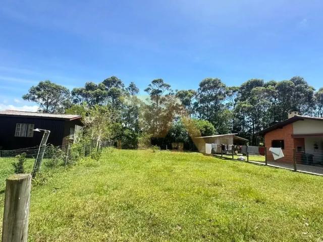 Terreno / Lote para Venda em Garopaba/SC Grama