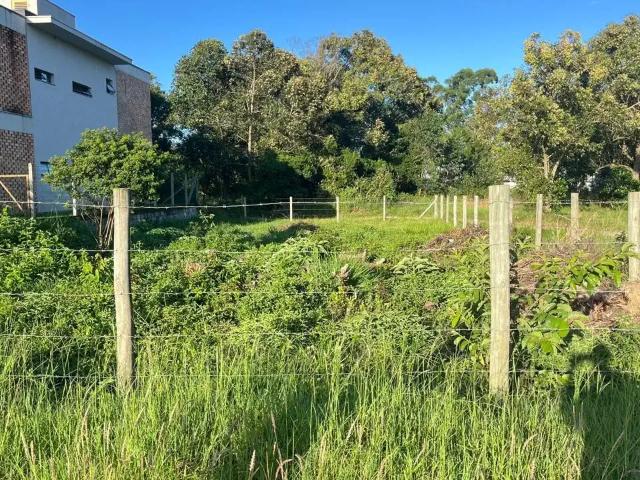 Terreno / Lote para Venda em Garopaba/SC Grama