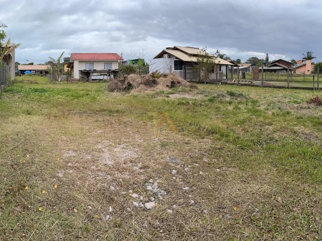 Terreno / Lote para Venda em Garopaba/SC Grama