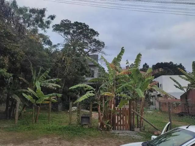 Terreno / Lote para Venda em Garopaba/SC Jardim Panorâmico