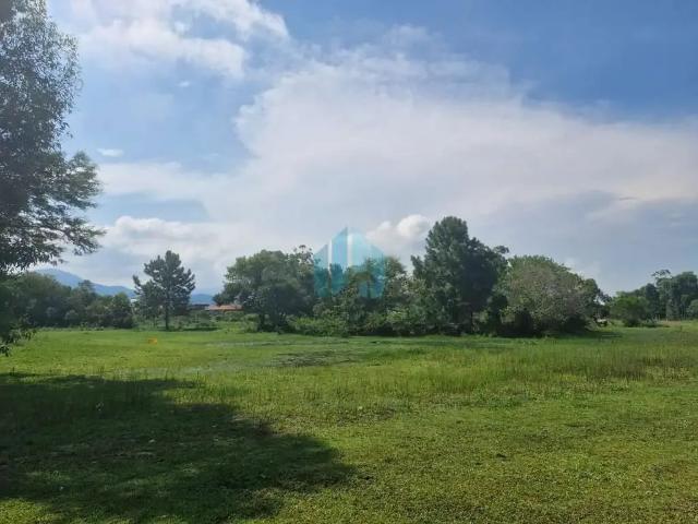 Terreno / Lote para Venda em Garopaba/SC Limpa