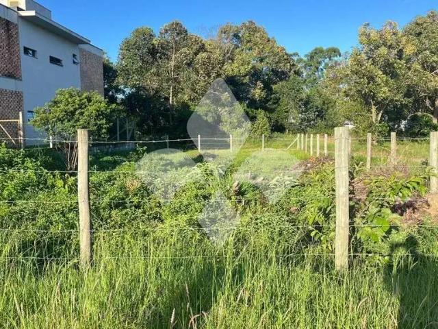 Terreno / Lote para Venda em Garopaba/SC Limpa