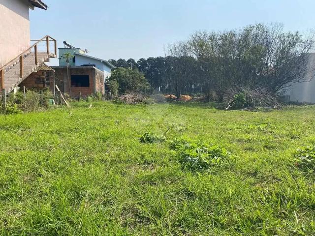 Terreno / Lote para Venda em Garopaba/SC Pinguirito