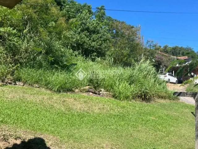 Terreno / Lote para Venda em Garopaba/SC Pinguirito