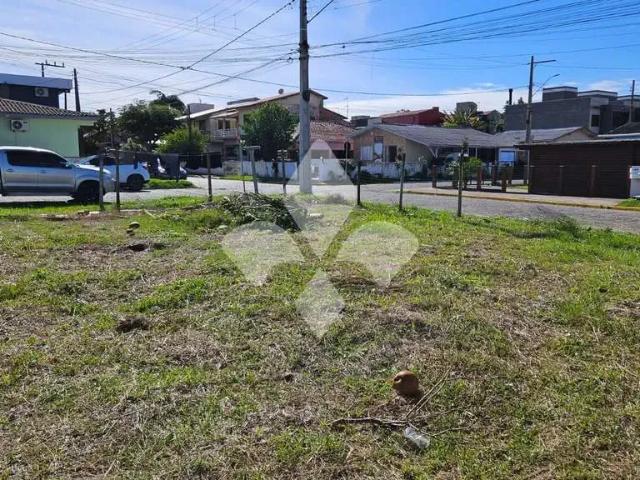 Terreno / Lote para Venda em Garopaba/SC Pinguirito