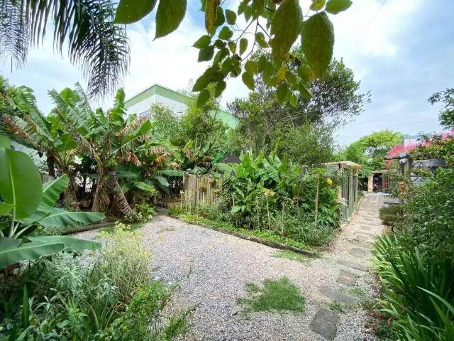 Terreno / Lote para Venda em Garopaba/SC Povoado de Campo D'una