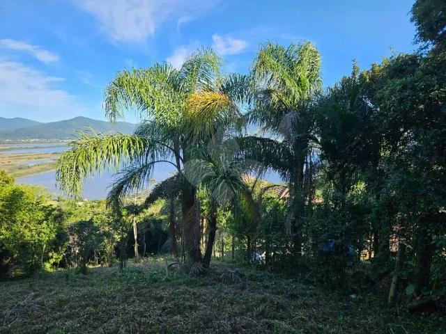Terreno / Lote para Venda em Garopaba/SC Praia da Ferrugem