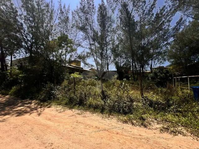 Terreno / Lote para Venda em Garopaba/SC Praia da Ferrugem