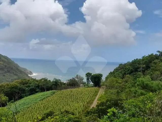 Terreno / Lote para Venda em Garopaba/SC Praia da Ferrugem