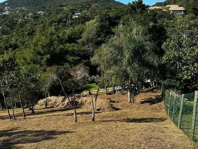 Terreno / Lote para Venda em Garopaba/SC Praia da Ferrugem
