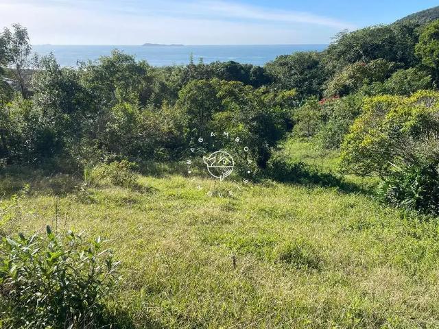Terreno / Lote para Venda em Garopaba/SC Praia da Gamboa
