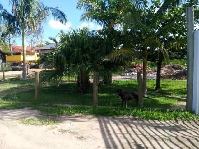 Terreno / Lote para Venda em Garopaba/SC Ressacada