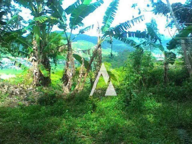 Terreno / Lote para Venda em Garopaba/SC Ressacada