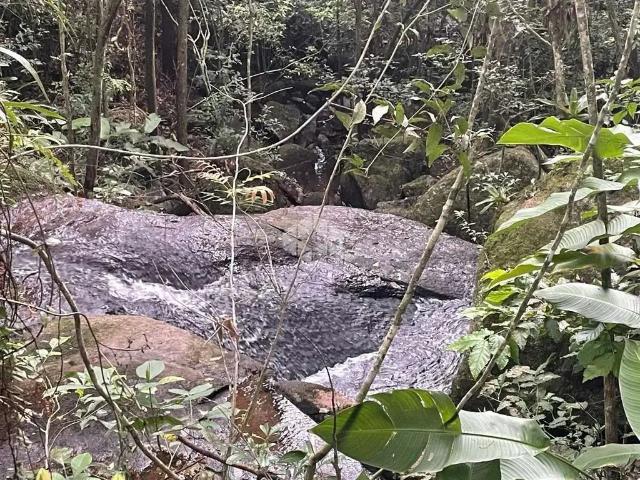 Terreno / Lote para Venda em Garopaba/SC Ressacada