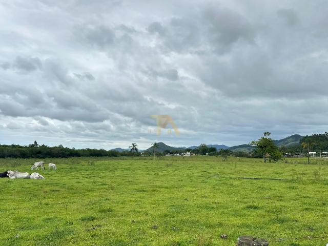 Terreno / Lote para Venda em Garopaba/SC Ressacada