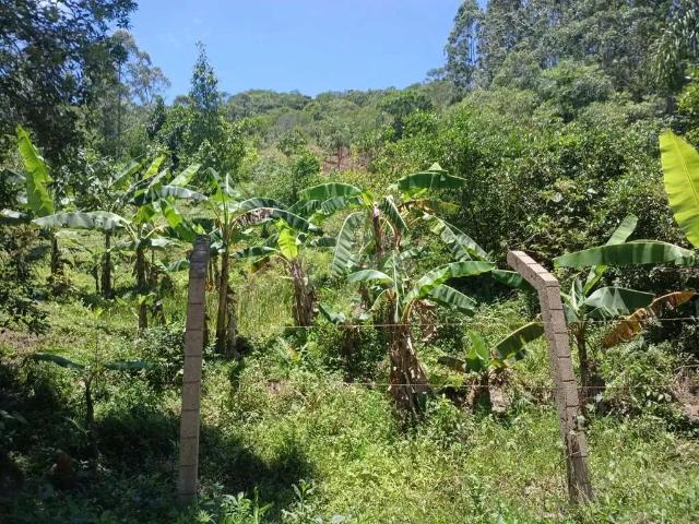Terreno / Lote para Venda em Garopaba/SC Ressacada
