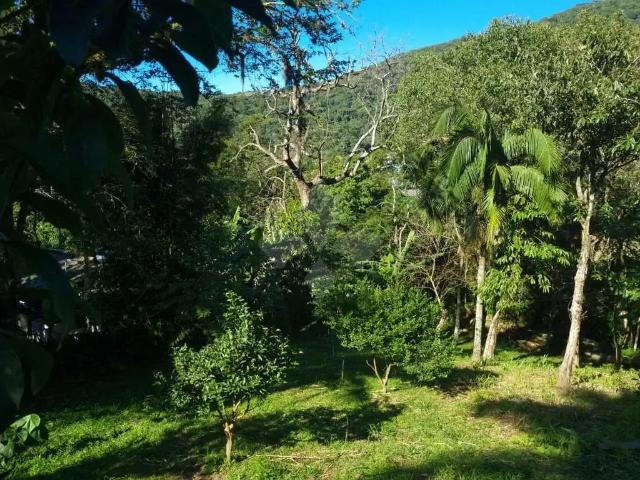 Terreno / Lote para Venda em Garopaba/SC Siriú