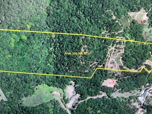 Terreno / Lote para Venda em Gaspar/SC Alto Gasparinho