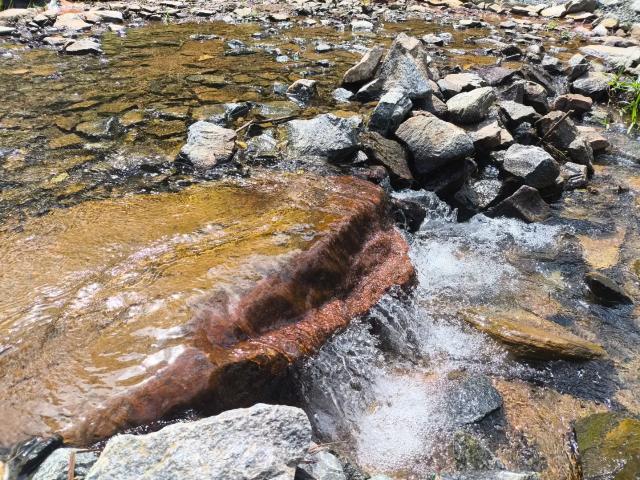 Terreno / Lote para Venda em Gaspar/SC Área Rural de Gaspar