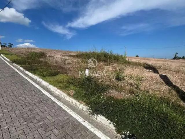 Terreno / Lote para Venda em Gaspar/SC Bela Vista