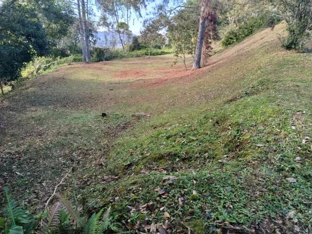 Terreno / Lote para Venda em Gaspar/SC Bela Vista
