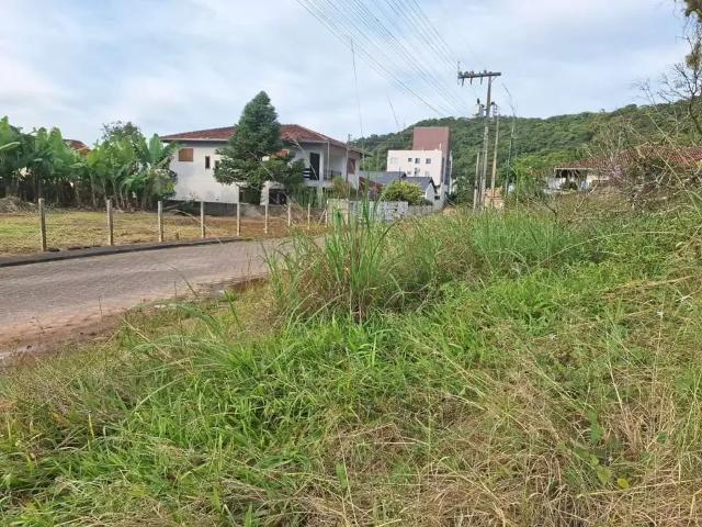 Terreno / Lote para Venda em Gaspar/SC Bela Vista