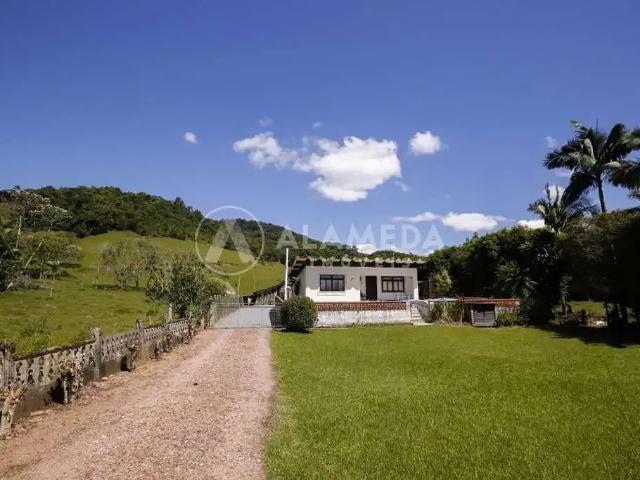 Terreno / Lote para Venda em Gaspar/SC Belchior Baixo