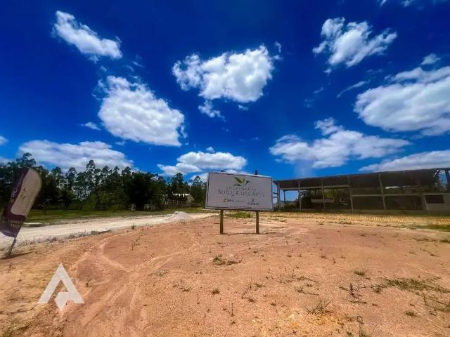 Terreno / Lote para Venda em Gaspar/SC Figueira