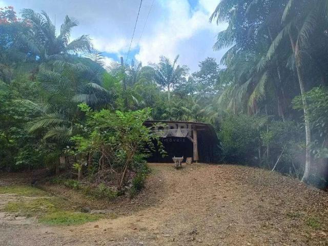 Terreno / Lote para Venda em Gaspar/SC Gaspar Alto