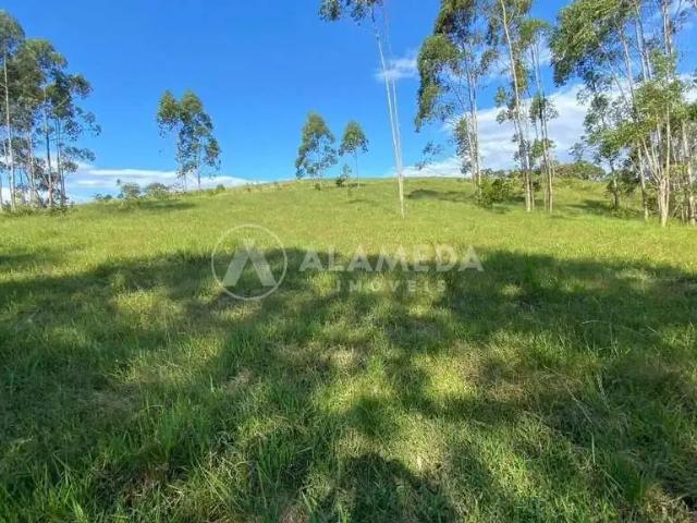 Terreno / Lote para Venda em Gaspar/SC Gasparinho
