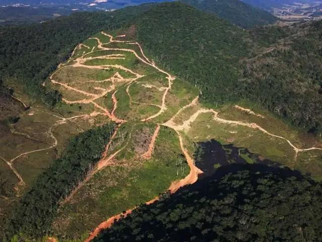 Terreno / Lote para Venda em Gaspar/SC Macucos