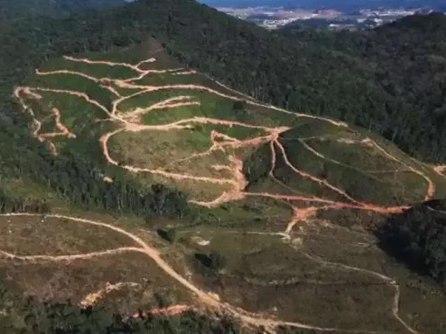 Terreno / Lote para Venda em Gaspar/SC Macucos