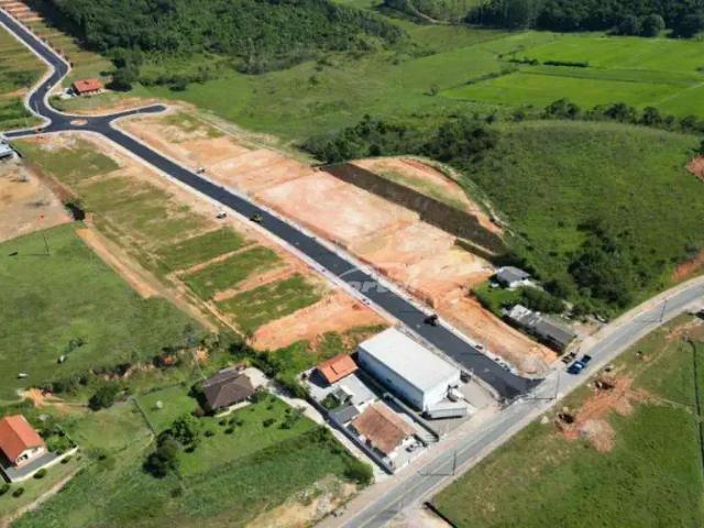 Terreno / Lote para Venda em Gaspar/SC Santa Terezinha