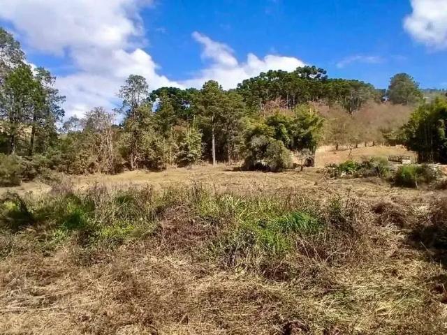 Terreno / Lote para Venda em Gonçalves/MG Centro