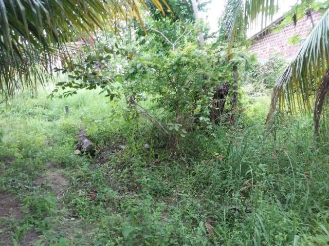 Terreno / Lote para Venda em Goiana/PE Tejucupapo