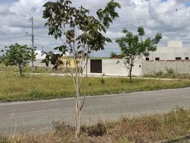 Terreno / Lote para Venda em Goiana/PE Centro