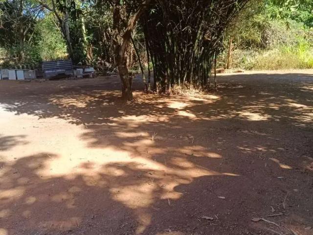 Terreno / Lote para Venda em Goiânia/GO Esplanada do Anicuns