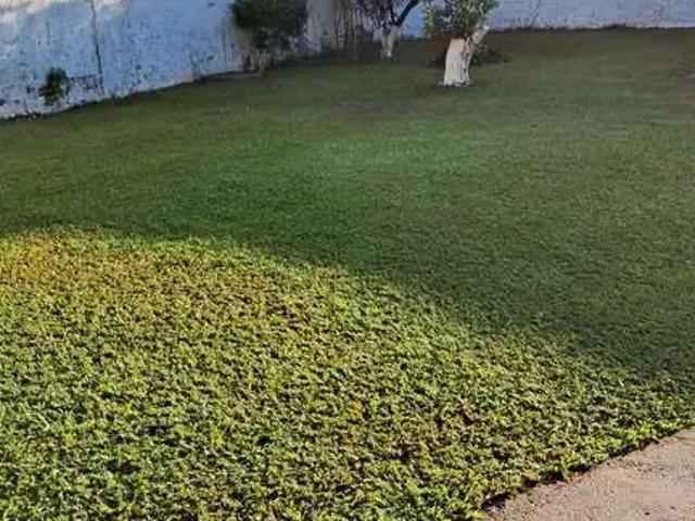 Terreno / Lote para Venda em Goiânia/GO Loteamento Celina Park