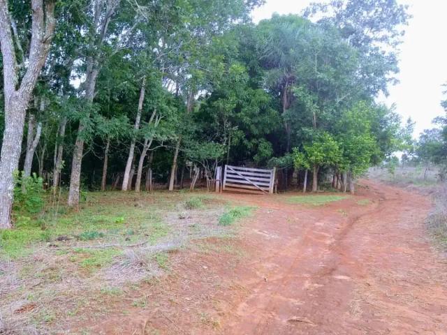Terreno / Lote para Venda em Goiânia/GO Setor Centro Oeste