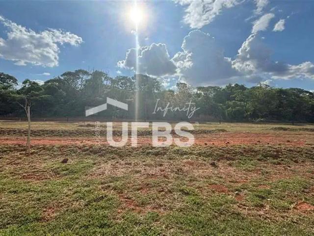 Terreno / Lote para Venda em Goiânia/GO Parque Cidade