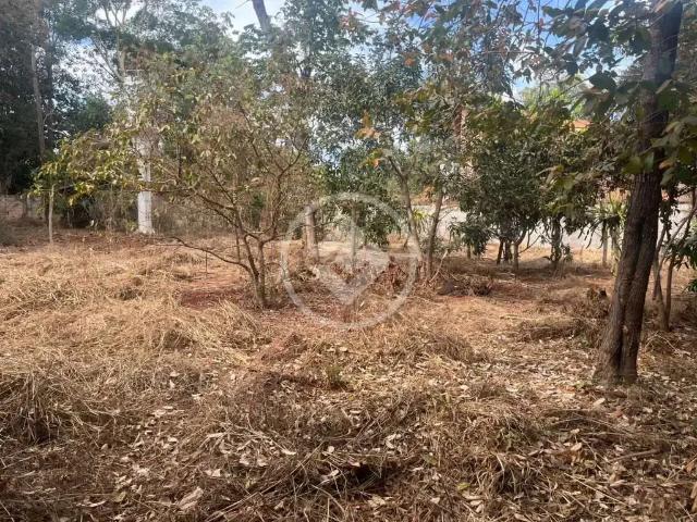 Terreno / Lote para Venda em Goiânia/GO Privê Residencial Elza Fronza