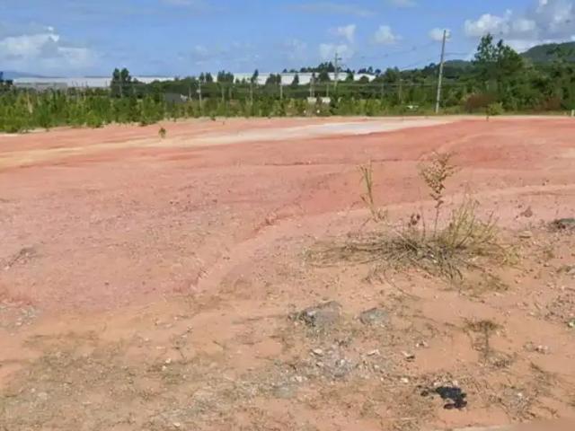 Terreno / Lote para Venda em Governador Celso Ramos/SC Areias de Baixo