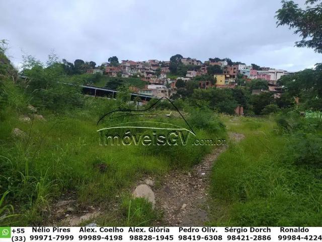Terreno / Lote para Venda em Governador Valadares/MG Palmeiras 1 Quartos